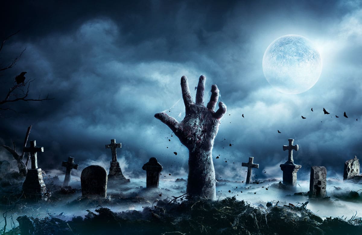 Die beste Ukulele im schaurig schönen Skull-Look: Halloween-Edition ...