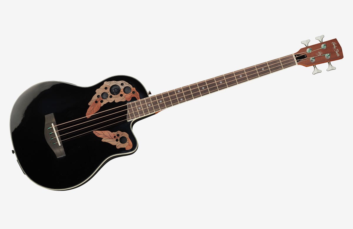 Top 5 der Akustik- und Halbakustikbässe für Einsteiger in 2020/2021 ...